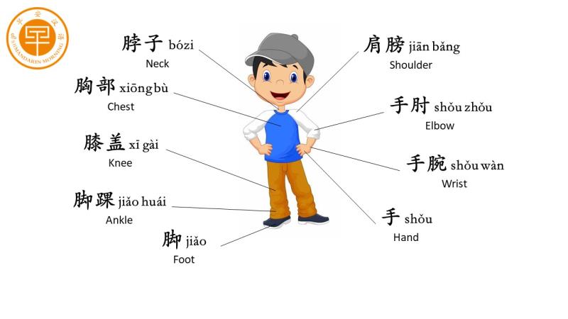 Chinese Lesson Body Parts Learn Chinese Online Shanghai Professional
